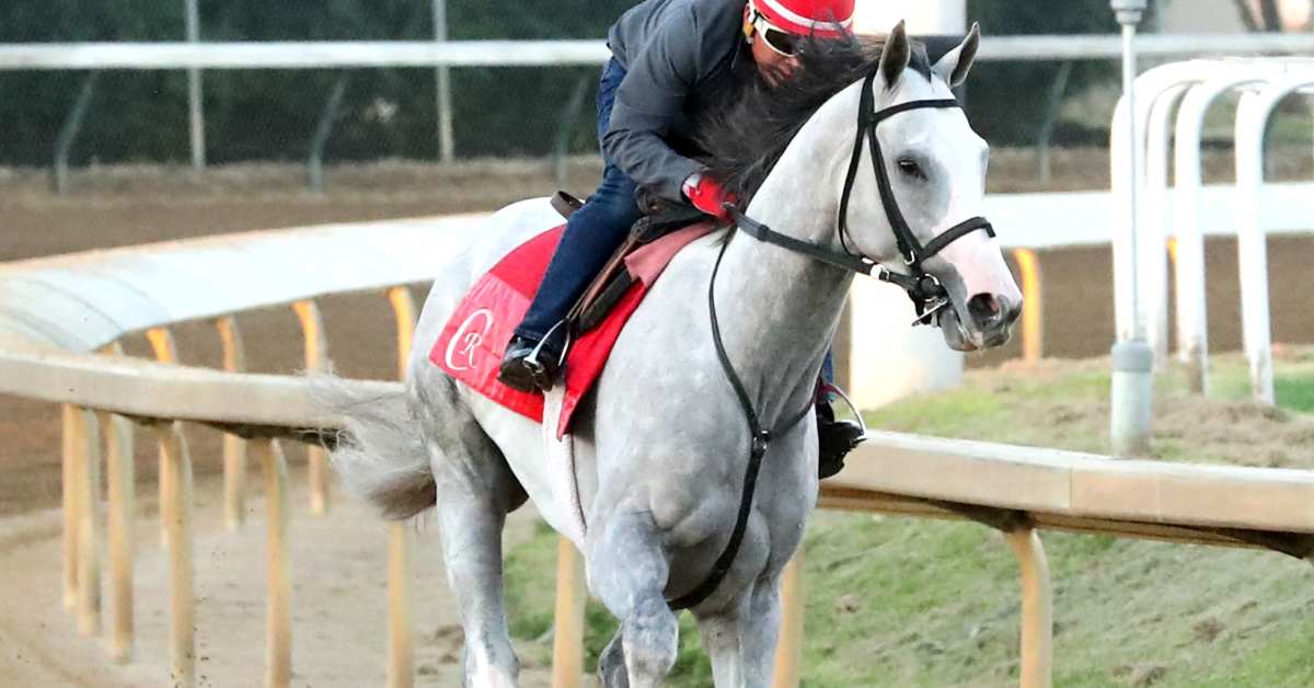 Sandman 'Looked Perfect' In Kentucky Derby Breeze - Paulick Report ...