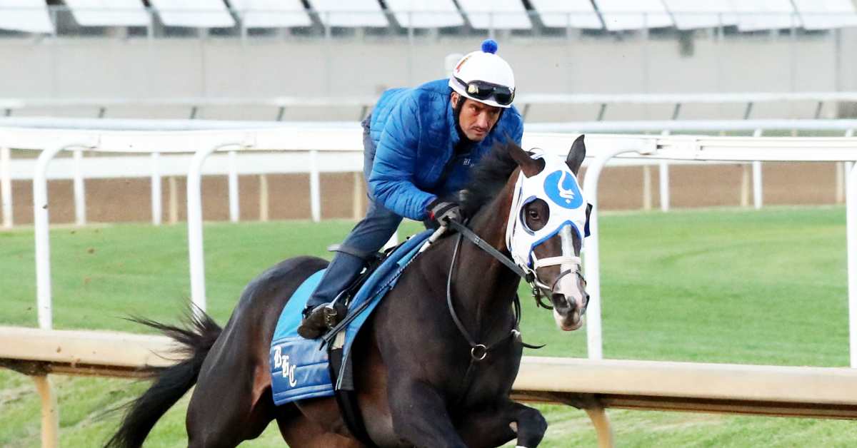 Undefeated Good Cheer Readies For 'Biggest Challenge' Yet In Kentucky ...