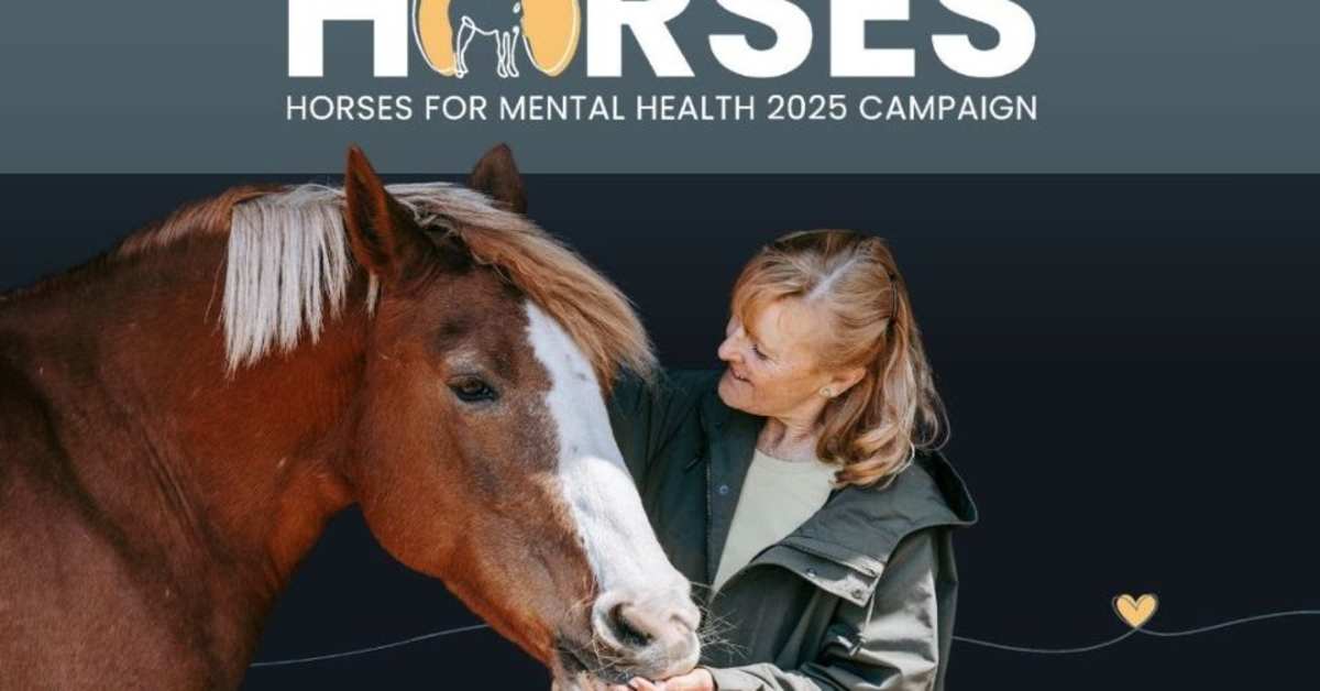 Therapeutic Horses Of Saratoga Named Charity Partner For National 'Seen ...