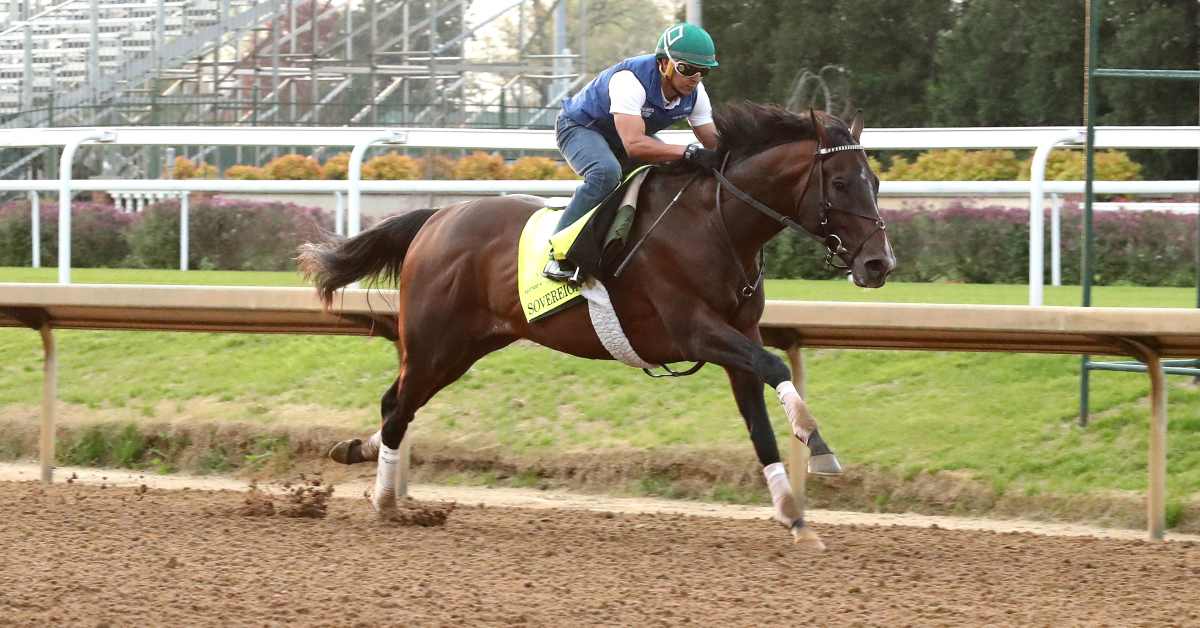 Burnham Square, Sovereignty Among Seven Kentucky Derby Hopefuls To ...