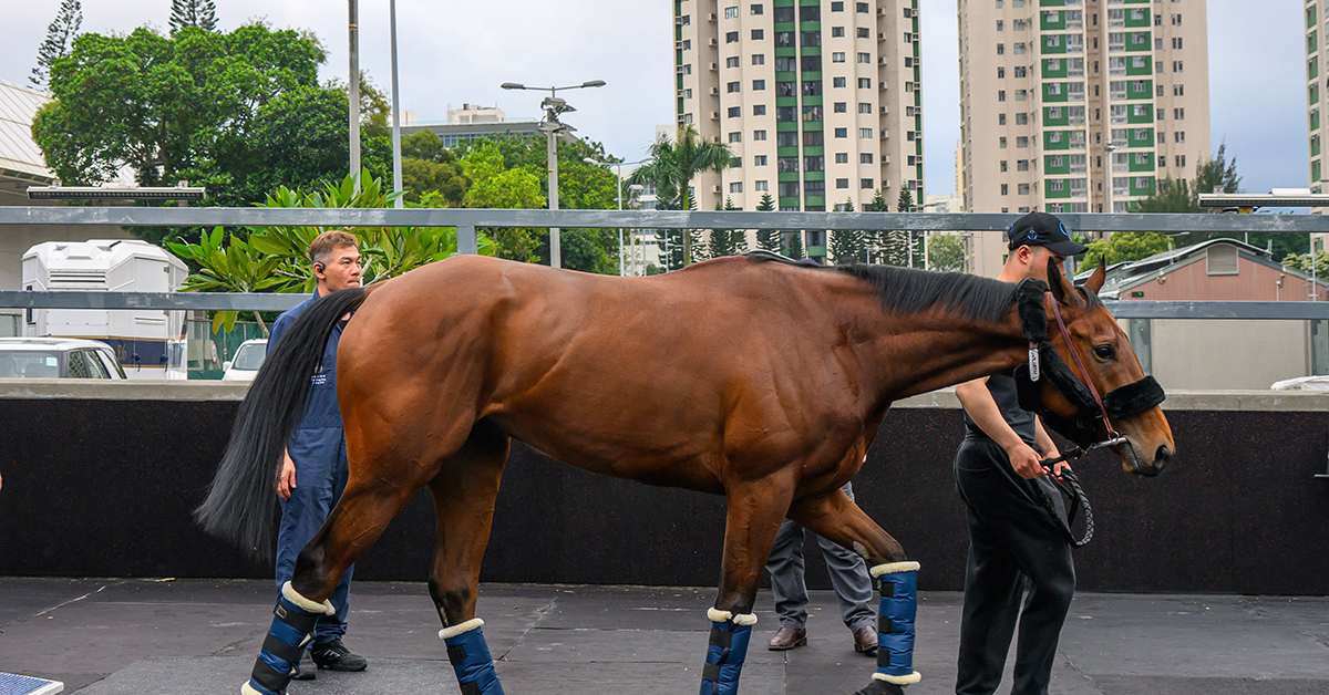Resolute Racing's John Stewart Hopes Goliath Can Launch Global Tour De ...