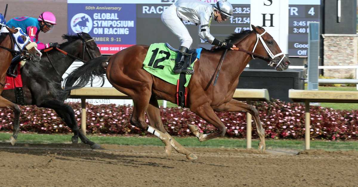 Four Horses Supplemented To Keeneland April Selected Horses Of Racing ...