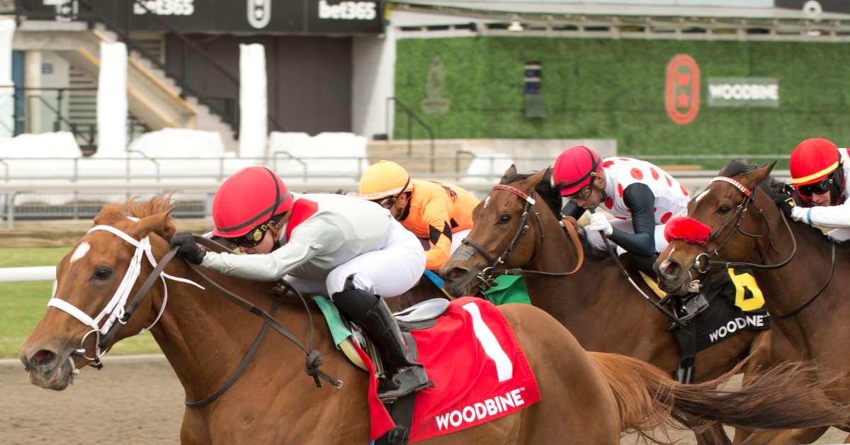 Brindi Leads 1-2 Finish For Trainer Kelsey Danner In Woodbine's Star ...