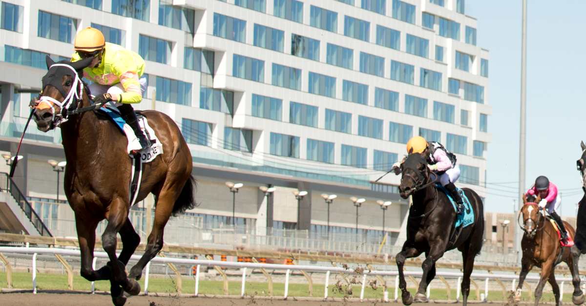 Mansetti Rolls To Woodstock Win, Stamps Himself Horse To Watch For King ...