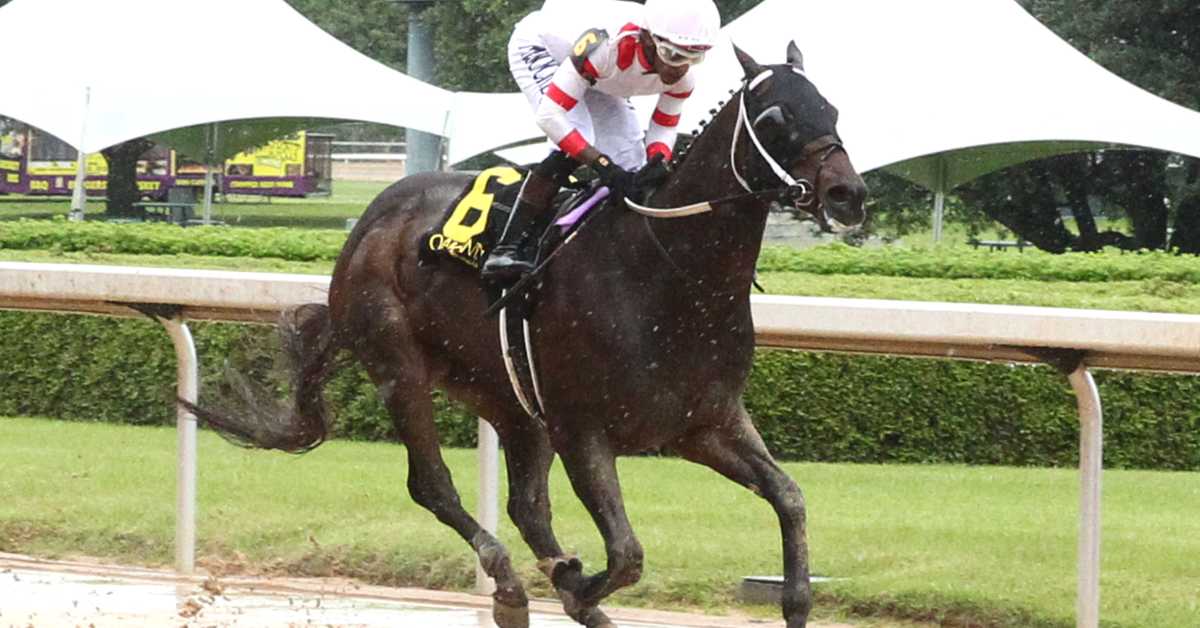 Crack Sprinter Skelly Looks Strong For Second Aristides Attempt ...