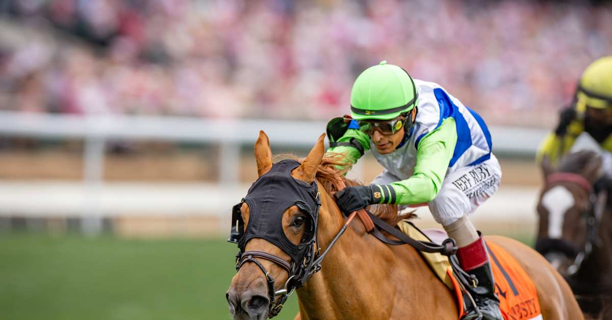 She Feels Pretty Could Add To Top-Level Credentials In New York ...