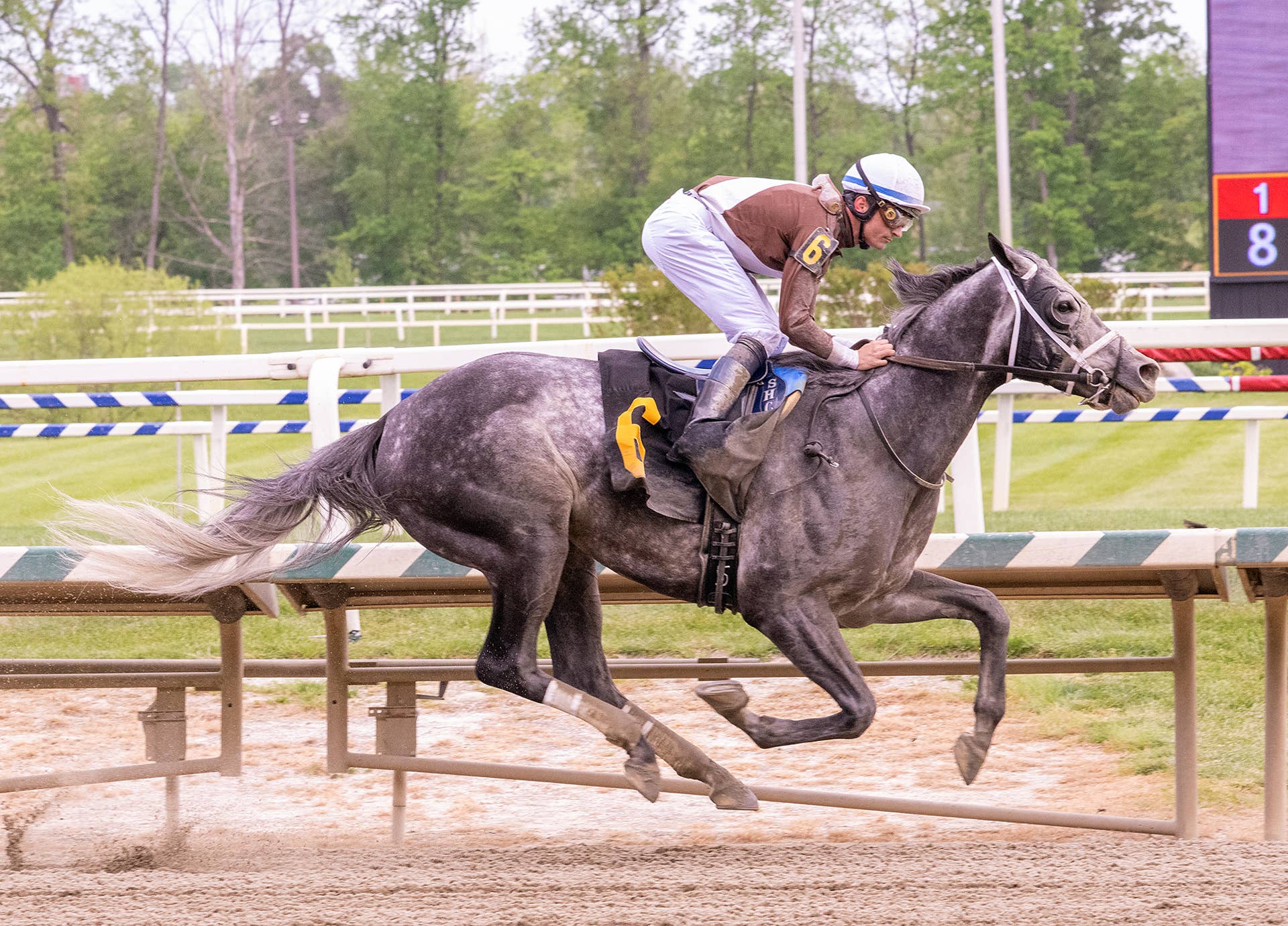 ‘Favorites Get Beat’: Trainer Brittany Russell Hoping To Spring Whitney ...