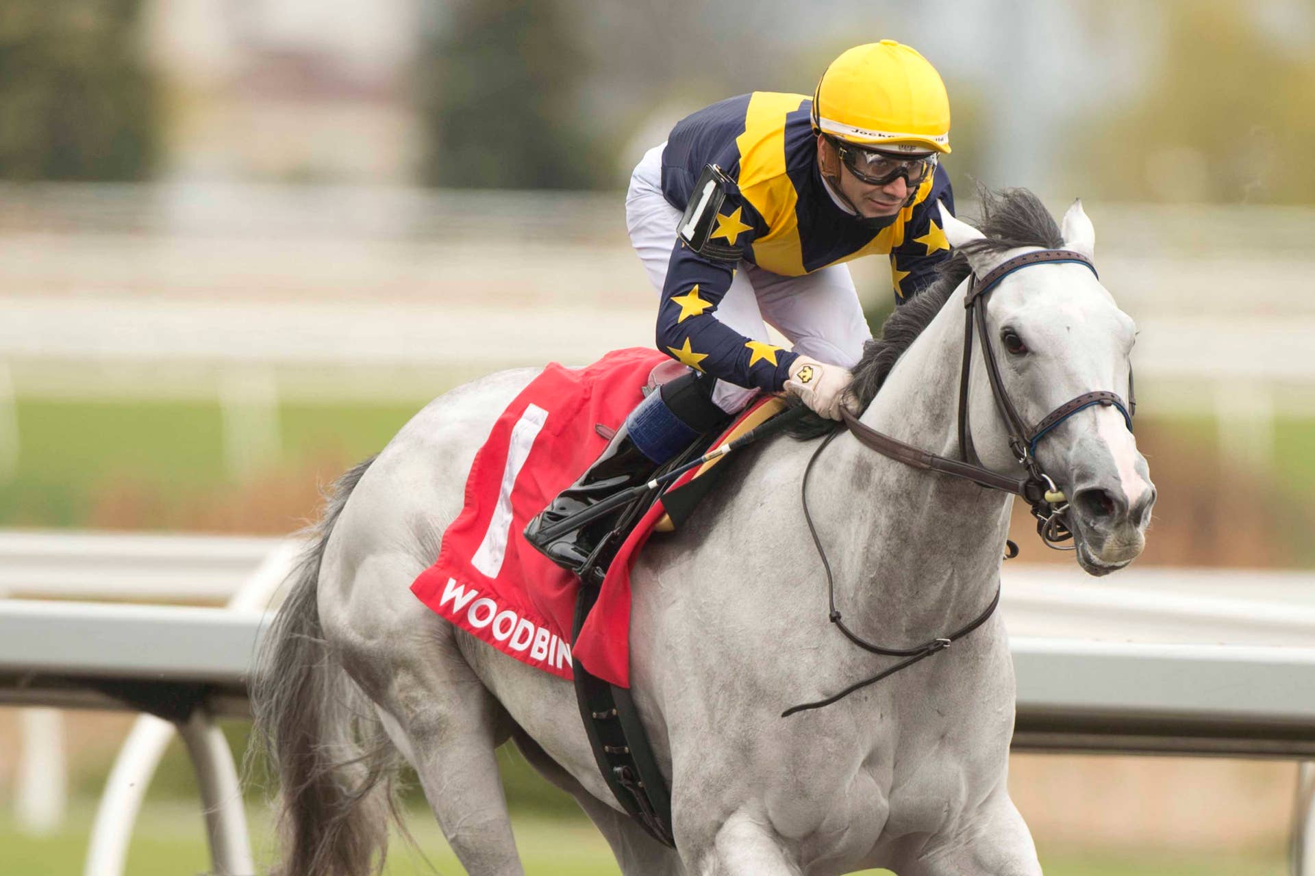 'A Cadillac Horse': Pacesetter Earhart Cruises Clear In Woodbine's ...
