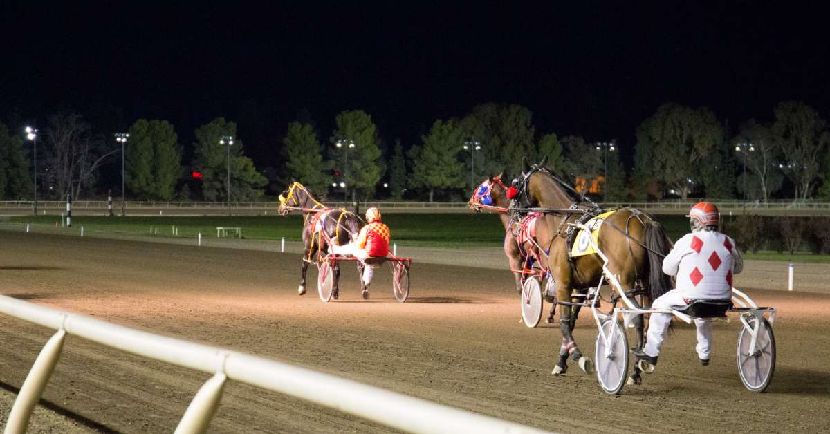 Keeping Pace: California Screaming - Paulick Report | Latest news and ...