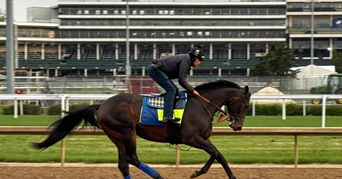 Preakness: Goal Oriented Has 'Really Come Into Himself,' Journalism ...