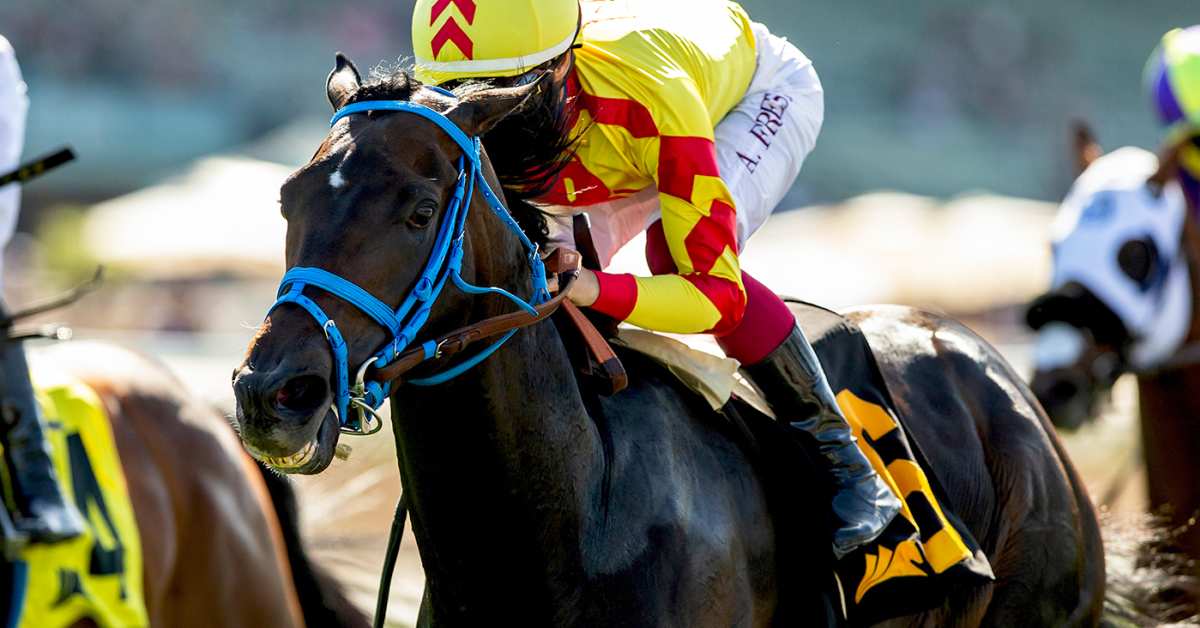 Freedom’s Not Free Presses Then Pounces For Cinema Victory At Santa ...