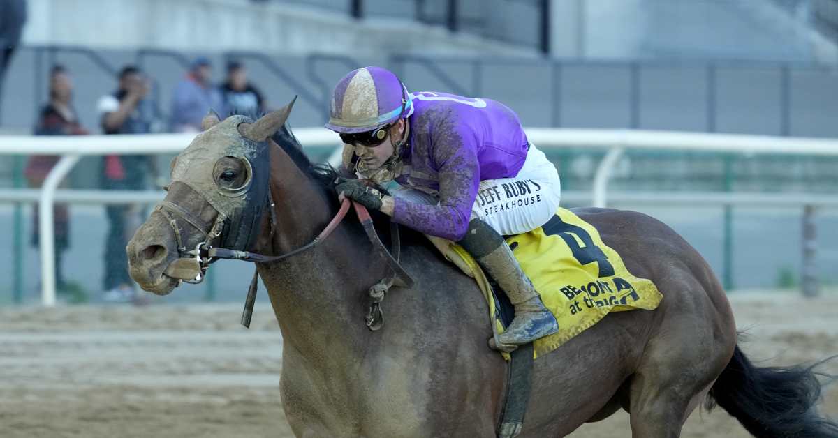 Chad Brown: Hill Road Possible For Belmont, 'We Still Have To Work On ...