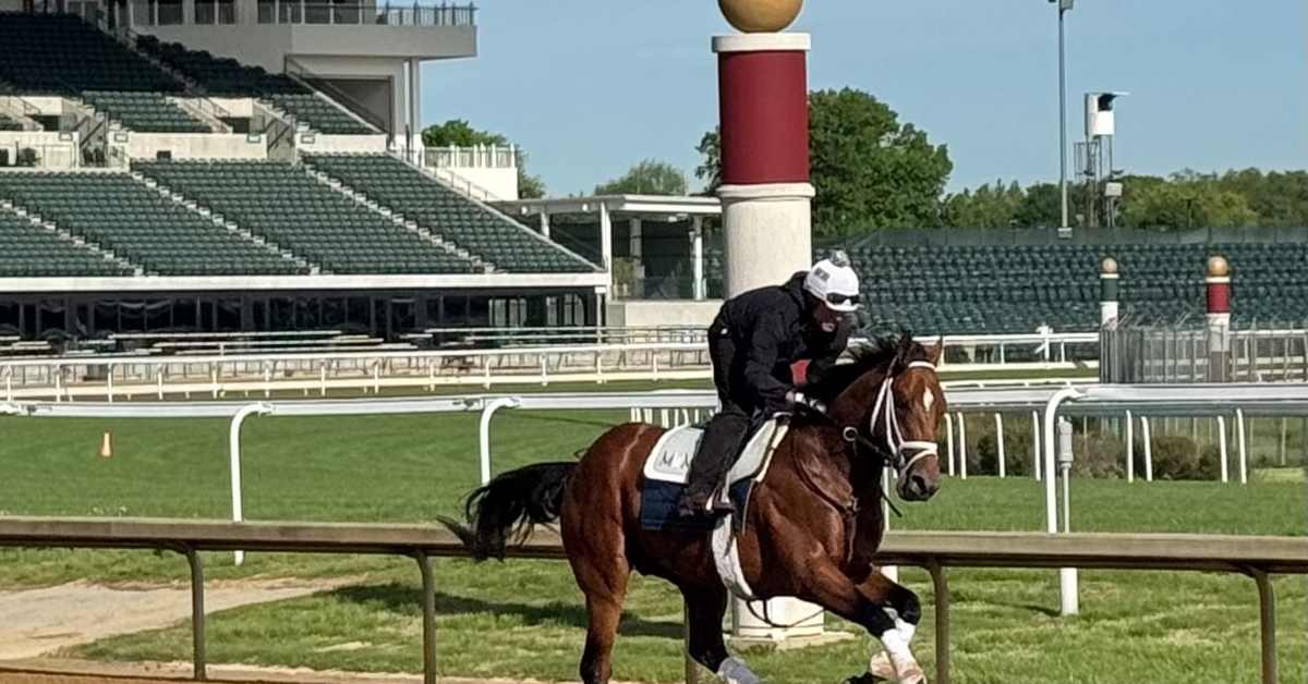 Preakness: Journalism 'Thriving,' John Velazquez Named To Ride Sandman ...