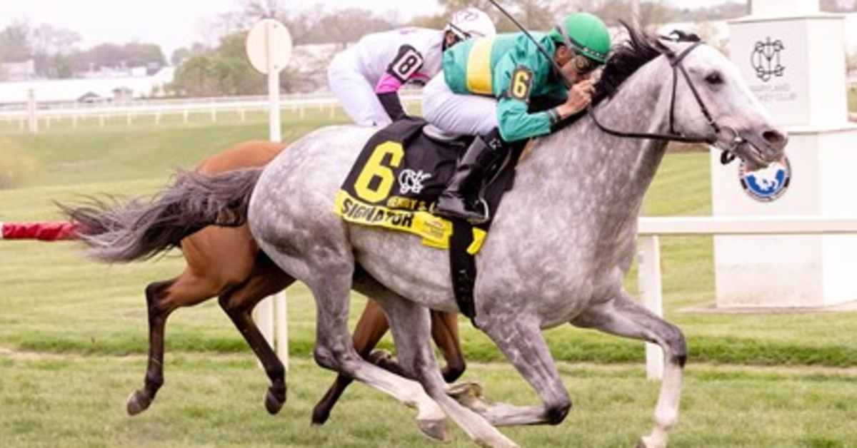 Signator Has Found New Home On Grass, Aims For Second Straight Stakes ...