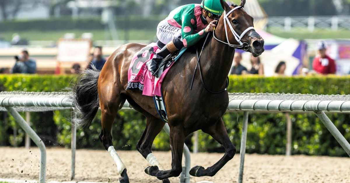 Equibase Analysis: Be Your Best Could Upset She Feels Pretty in Diana ...