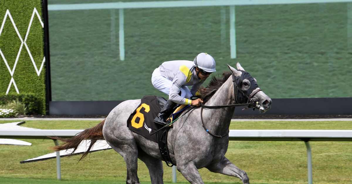 Squire Fires Bullet In Tune-Up For FSS Dr. Fager - Paulick Report ...