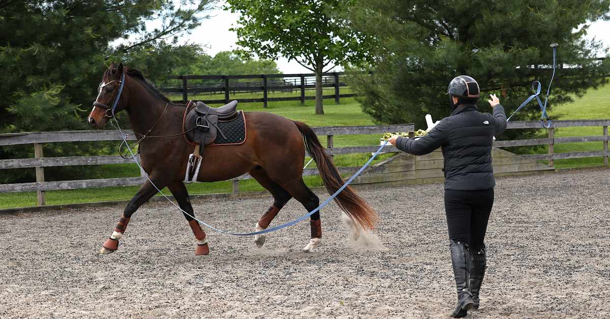 OTTB Training Toolkit Presented By Doc Lane's Pharmacy: Don't Be A Constant Clucker - Paulick ...