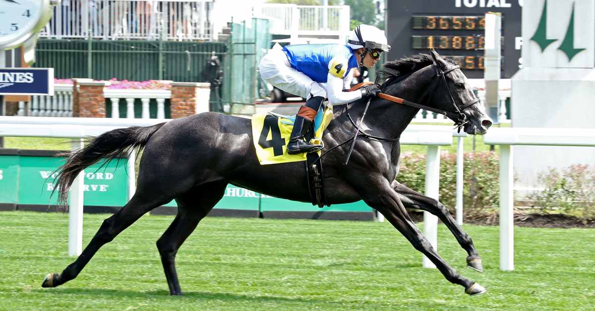 Classic Q Seeks Second Straight Saratoga Stakes Win In Lake George ...