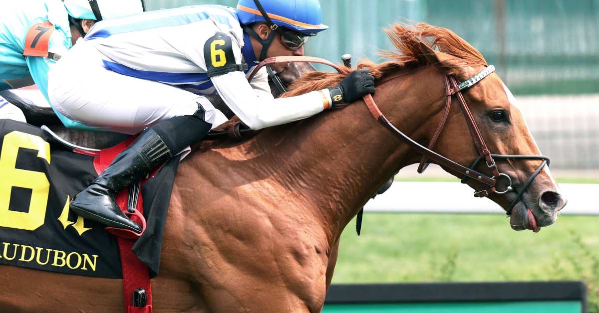 'More Of A Grinder': Grade 1 Winner World Beater Seeks Another Derby ...