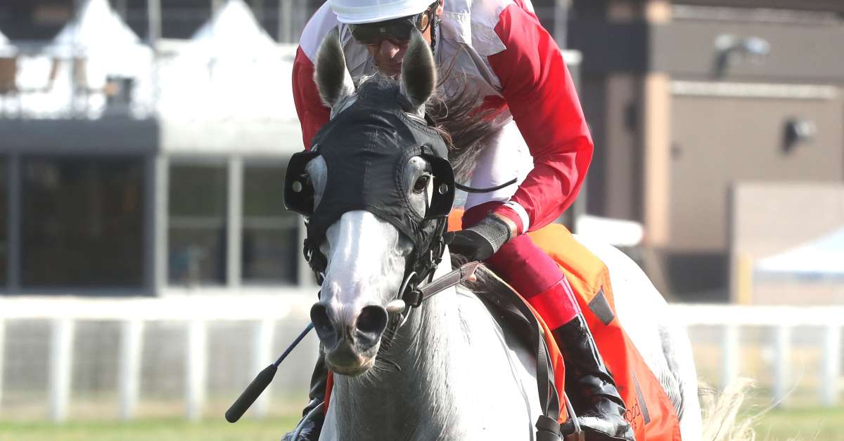 Flatten The Curve, The Ginger Wizard Could Punch 'Golden Ticket' In ...