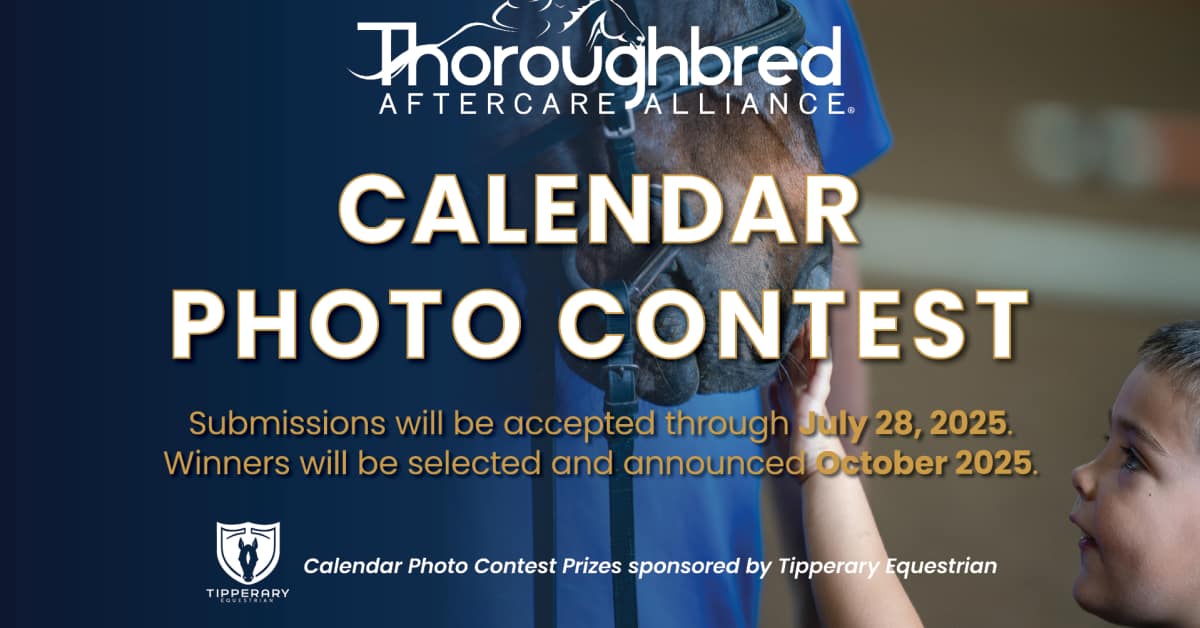 Thoroughbred Aftercare Alliance Announces Fifth Annual Calendar Photo ...