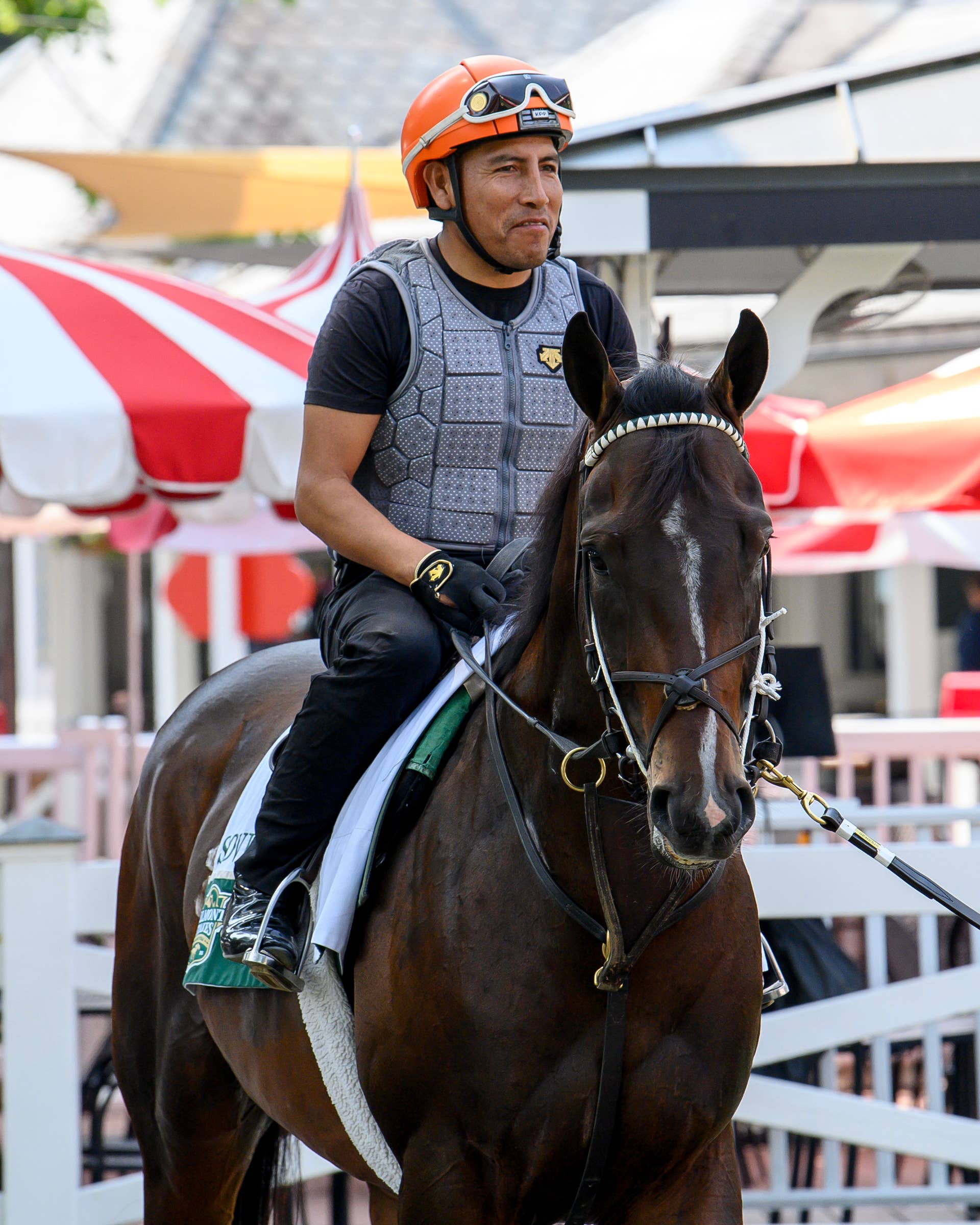 Weekend Lineup Presented By Sky Racing: 11 Kentucky Derby Runners Back ...