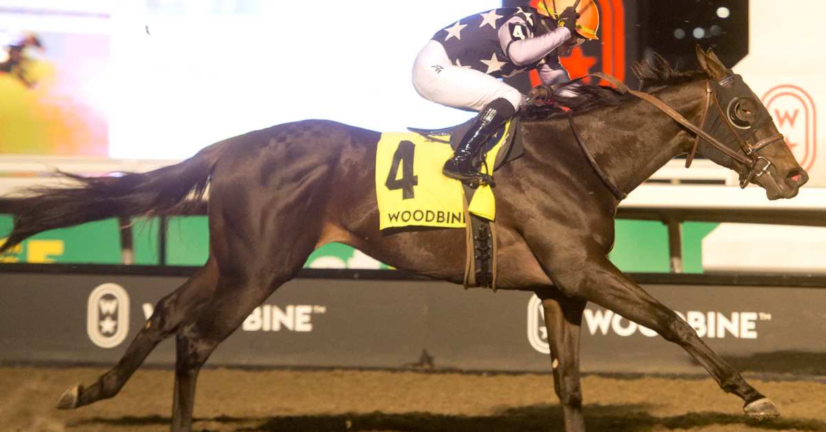 King's Plate Prep: Trainer Josie Carroll Has Two For Sunday's Queenston ...