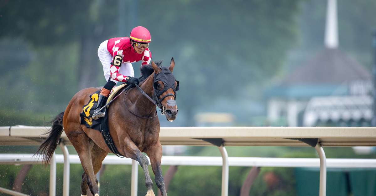 Nitrogen Romps In Off-Turf Wonder Again For Fifth Straight Win ...