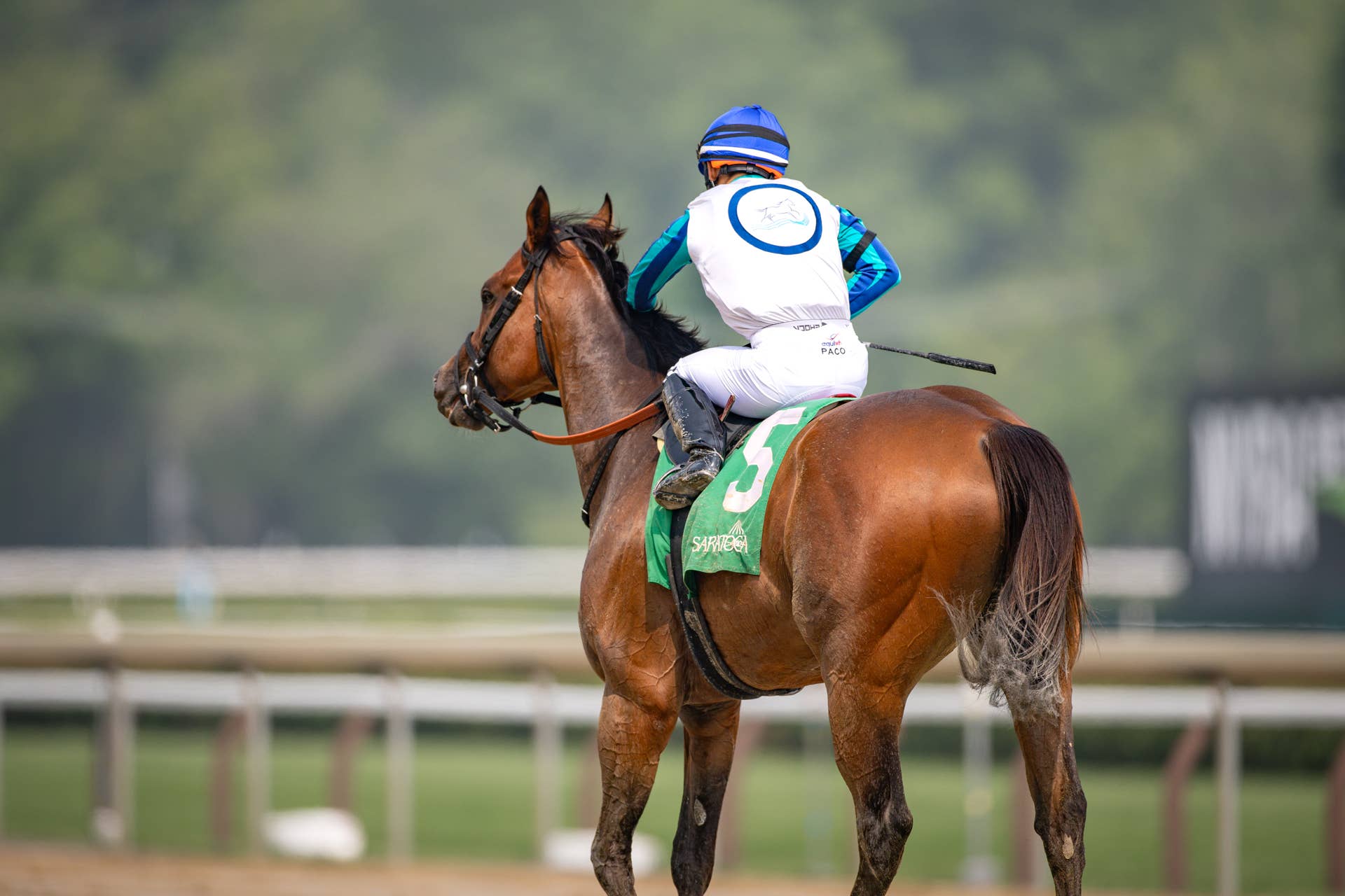 Book'em Danno 'Looked Like A Million Dollars' After True North Win ...