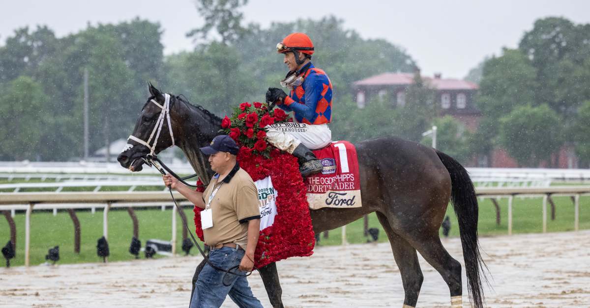 Vinery Sales To Offer Trio Of Grade 1 Mares To Benefit Charity At Fasig ...