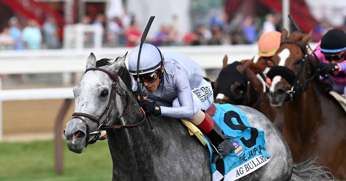 'Pretty Easy': Ag Bullet Trounces The Boys In Rescheduled Jaipur ...