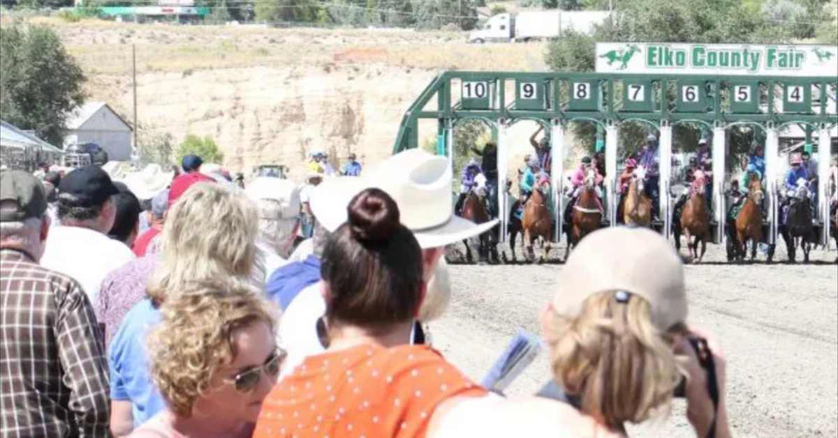 'Somebody Could Have Been Seriously Injured Or Killed': Nevada ...