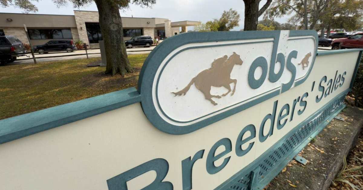 Beau Liam Colt Equals Track Record On Day 5 Of OBS June Under Tack Show ...