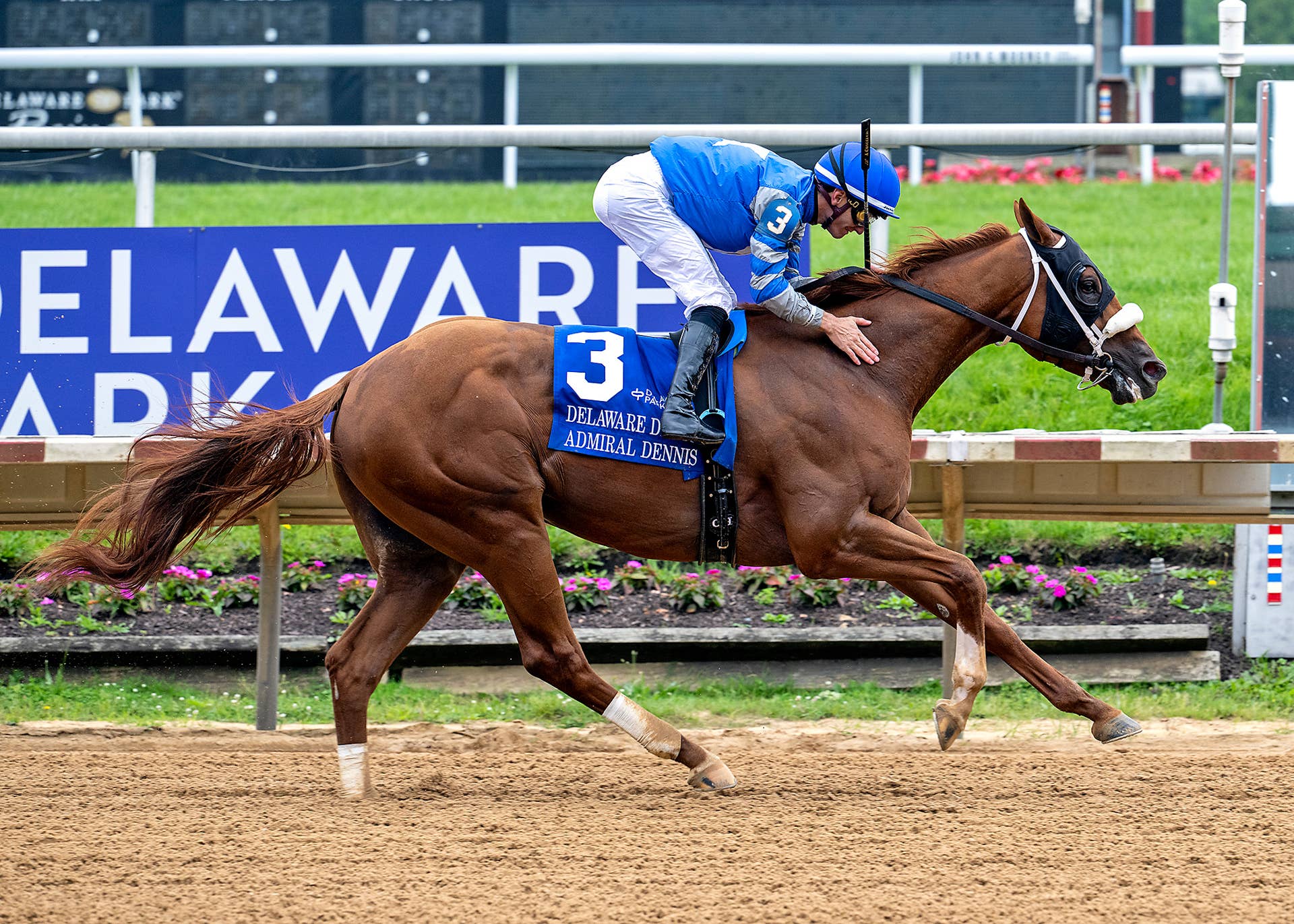 Admiral Dennis Dominant In Inaugural Delaware Derby - Paulick Report ...