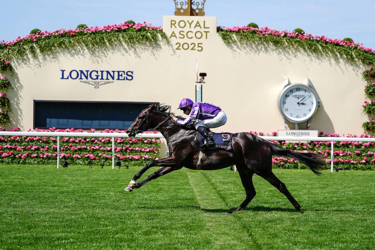 Ascot Racecourse To Offer Record Amount Of Prizemoney In 2026 - Paulick ...
