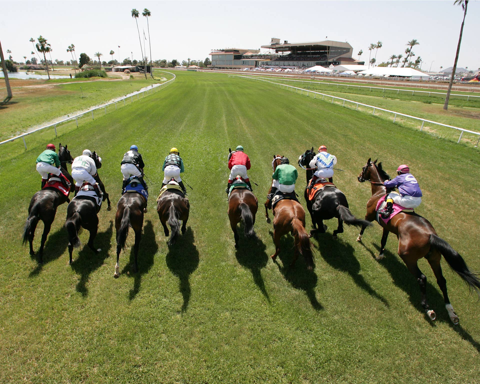 'Setting The Foundation For Its Future': Turf Paradise Celebrates Dec ...