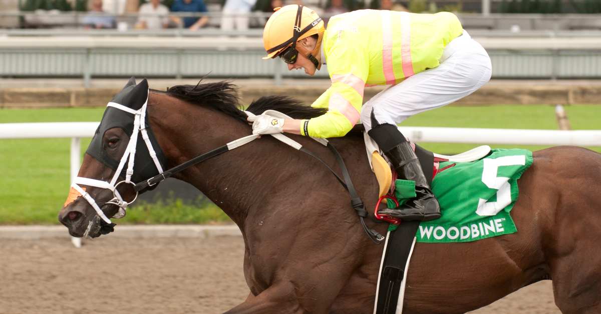Mansetti Powers Home In Woodbine's Marine - Paulick Report | Latest ...