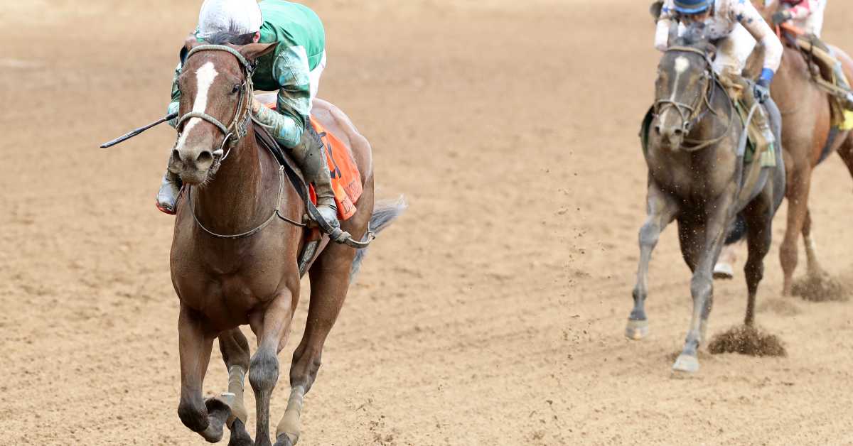 Percy’s Bar Goes From Debut Winner To Stakes Winner In Debutante ...