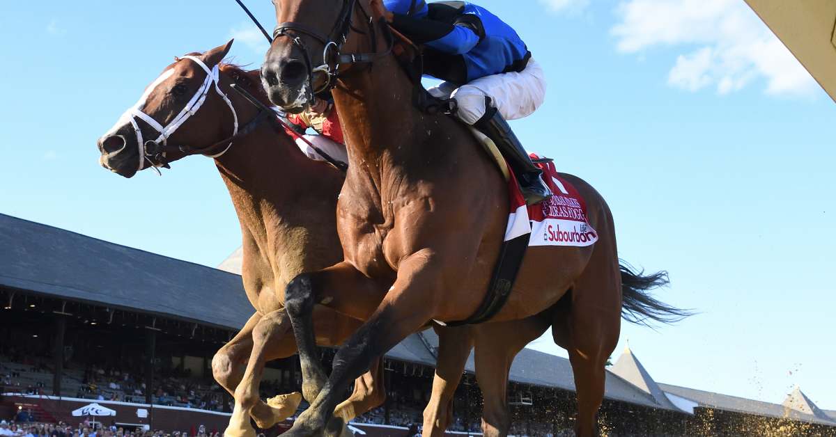 Phileas Fogg Repels Antiquarian In Gate-To-Wire Suburban Thriller ...