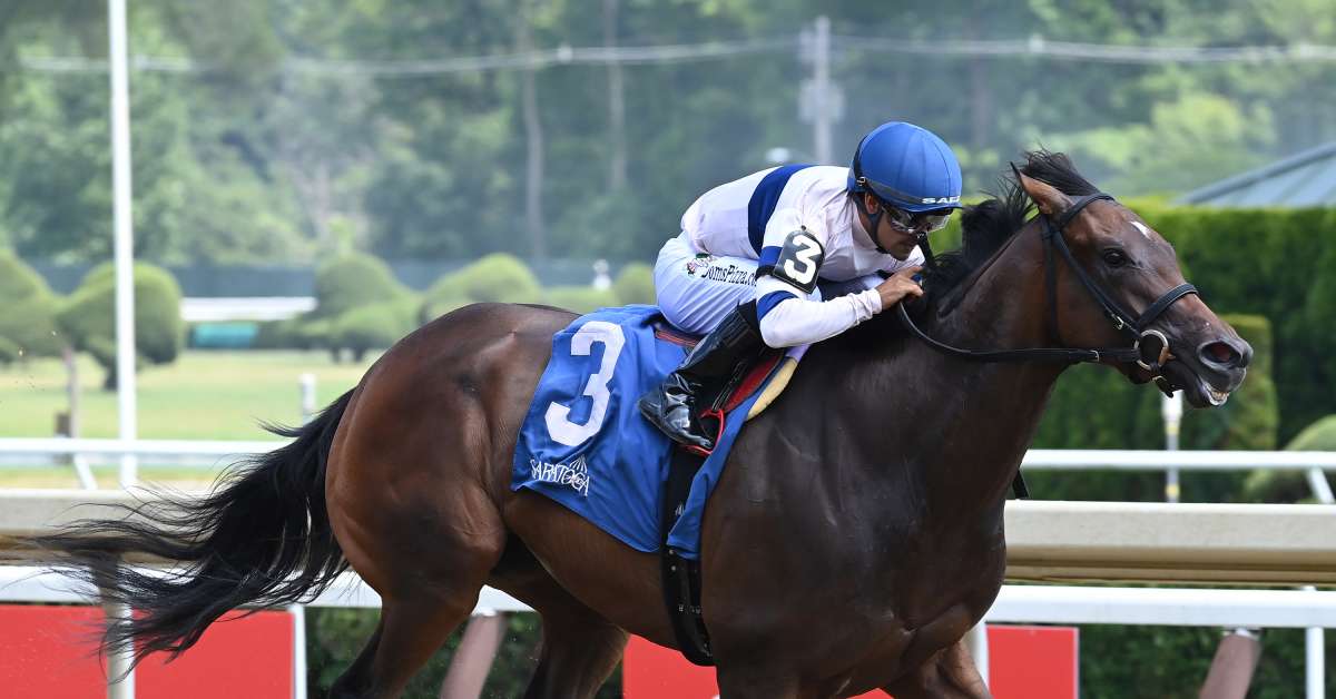 'Hard Not To Go There': Echo Sound Candidate For Test After Victory ...