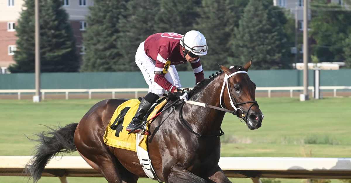 Steve Asmussen 'Extremely Happy' With Travers Hopeful Magnitude ...