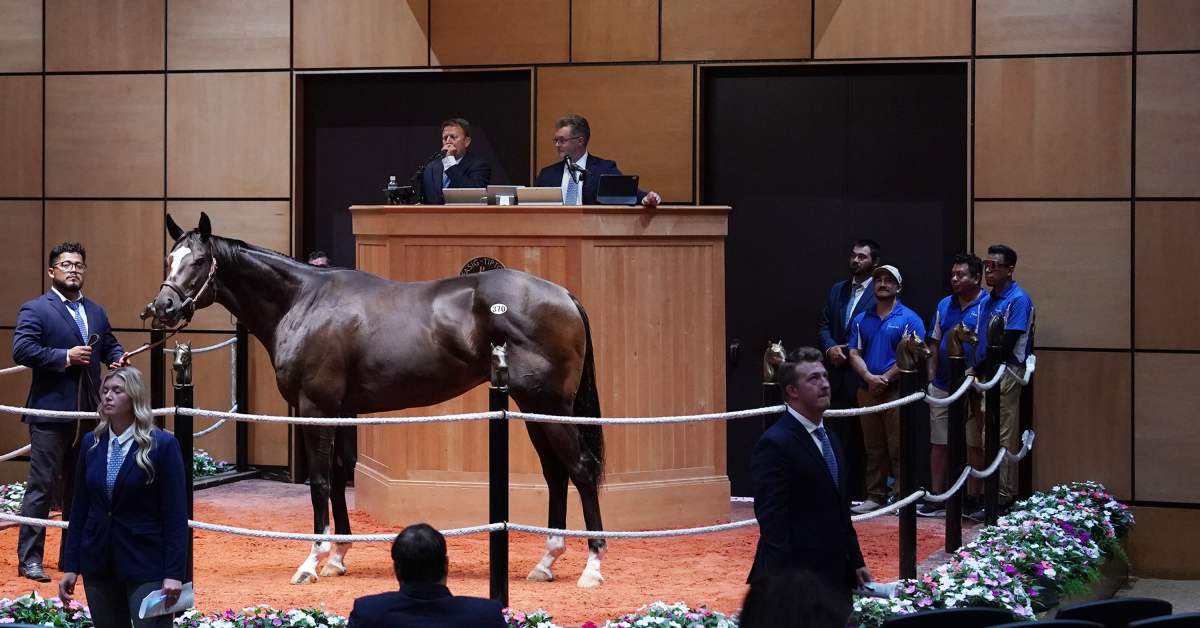 Jack Christopher Colt Tops Fasig-Tipton July Yearling Sale, Stakes ...