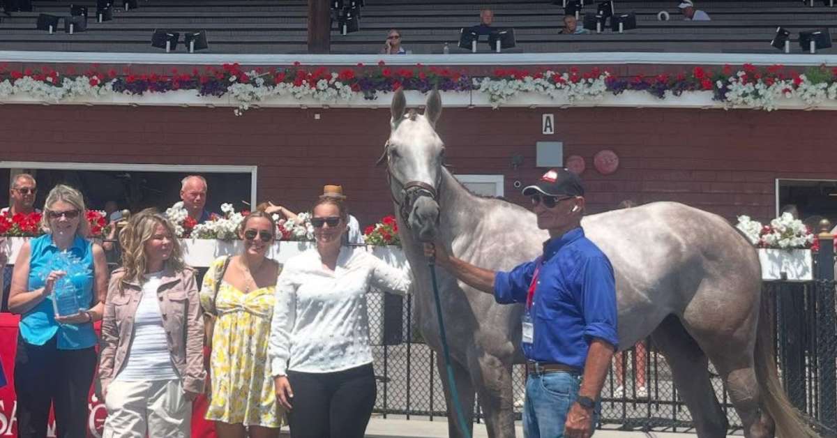 Mel’s Baby Sister Crowned Down Broadway Retired Racehorse Of The Year ...