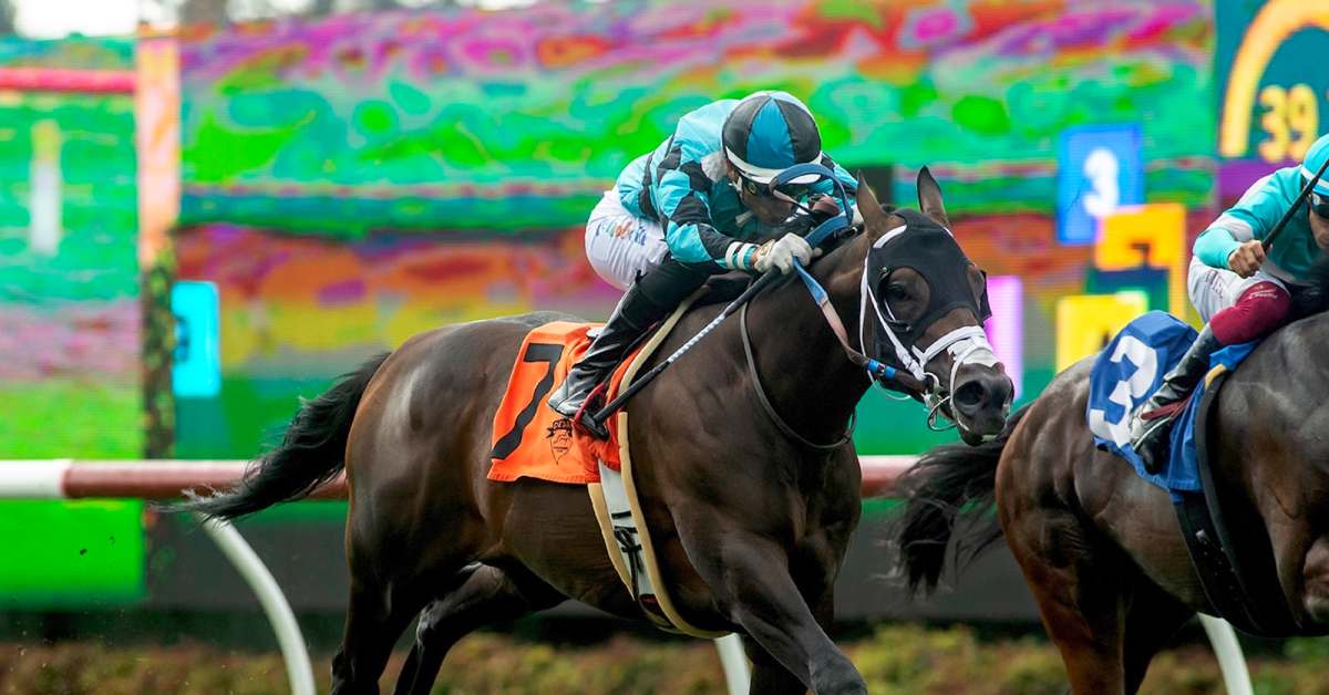 Game Warrior Upsets Del Mar's Opening Day Oceanside - Paulick Report ...