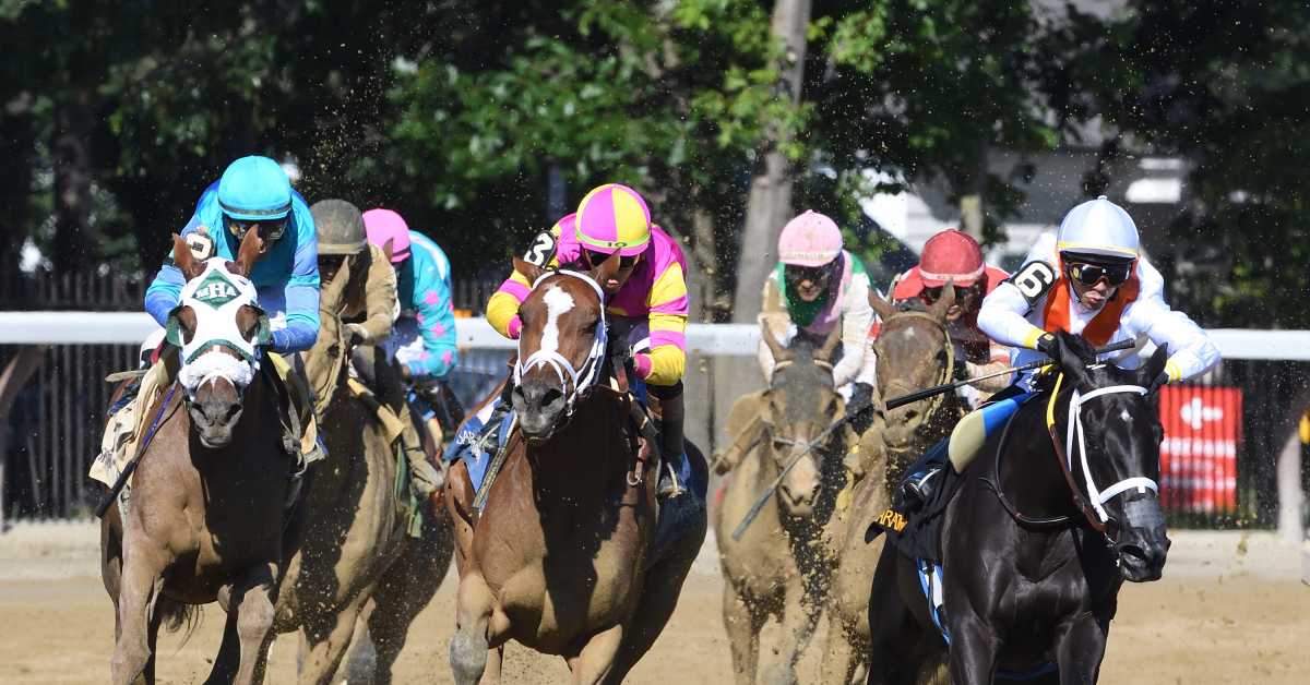 Leslie's Rose Finds Fast Footing To Her Liking In Saratoga's Shuvee ...