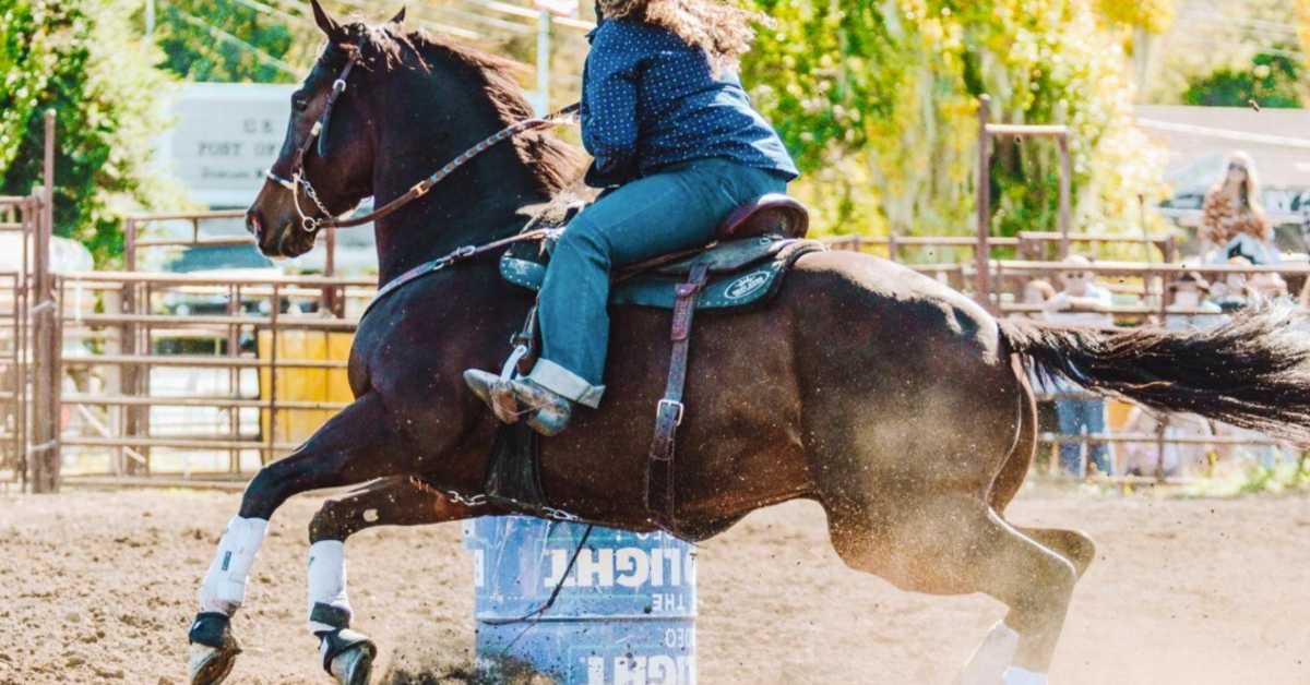 ‘Willing To Please’: OTTB Good Stuff Competing With University Of ...