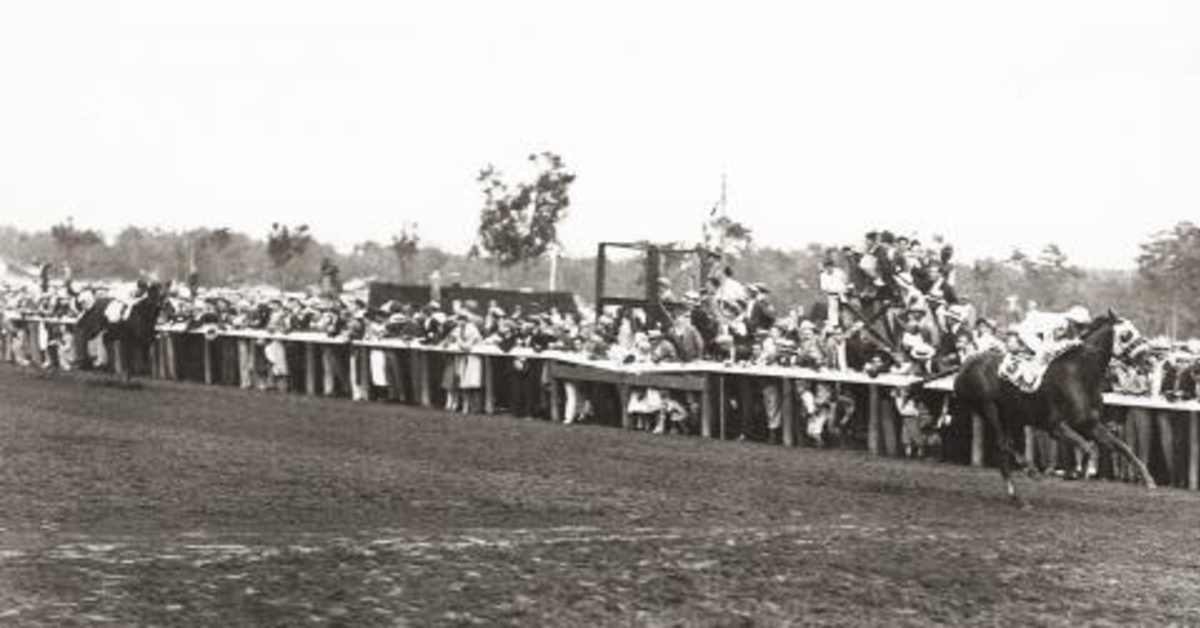 Bloodlines Presented By Walmac Farm: Jim Dandy's Shovel In The ...