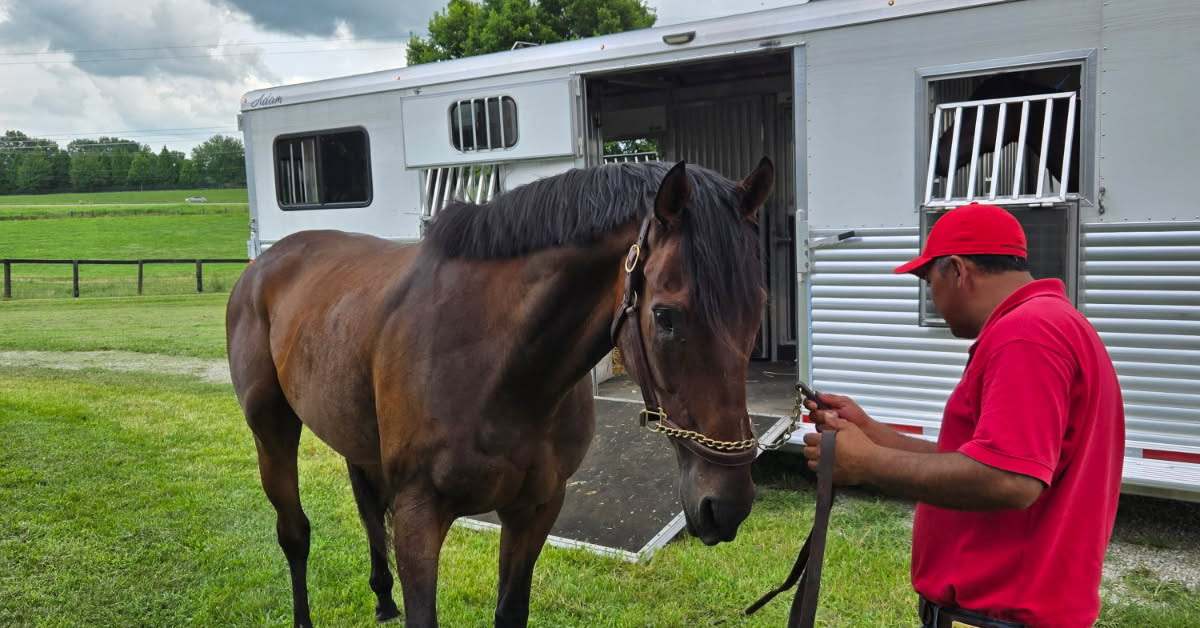 Old Friends Welcomes Namesake Stakes Winner Flatlined - Paulick Report ...