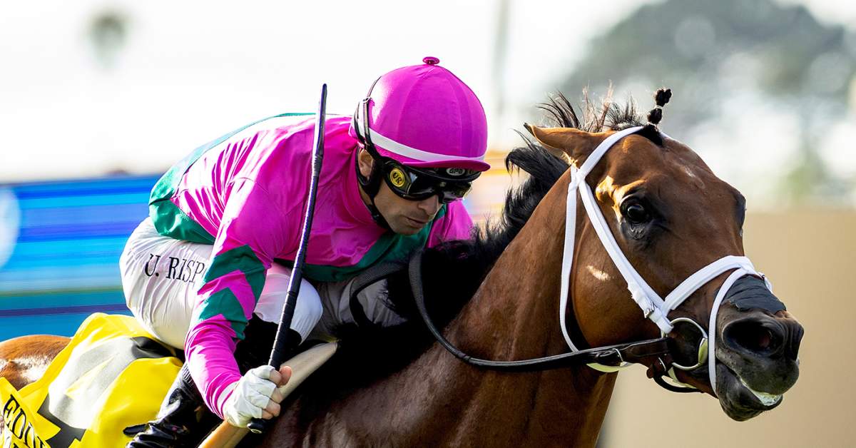 Formidable Man Wins Eddie Read, Improves Record On Del Mar Turf To 5 ...