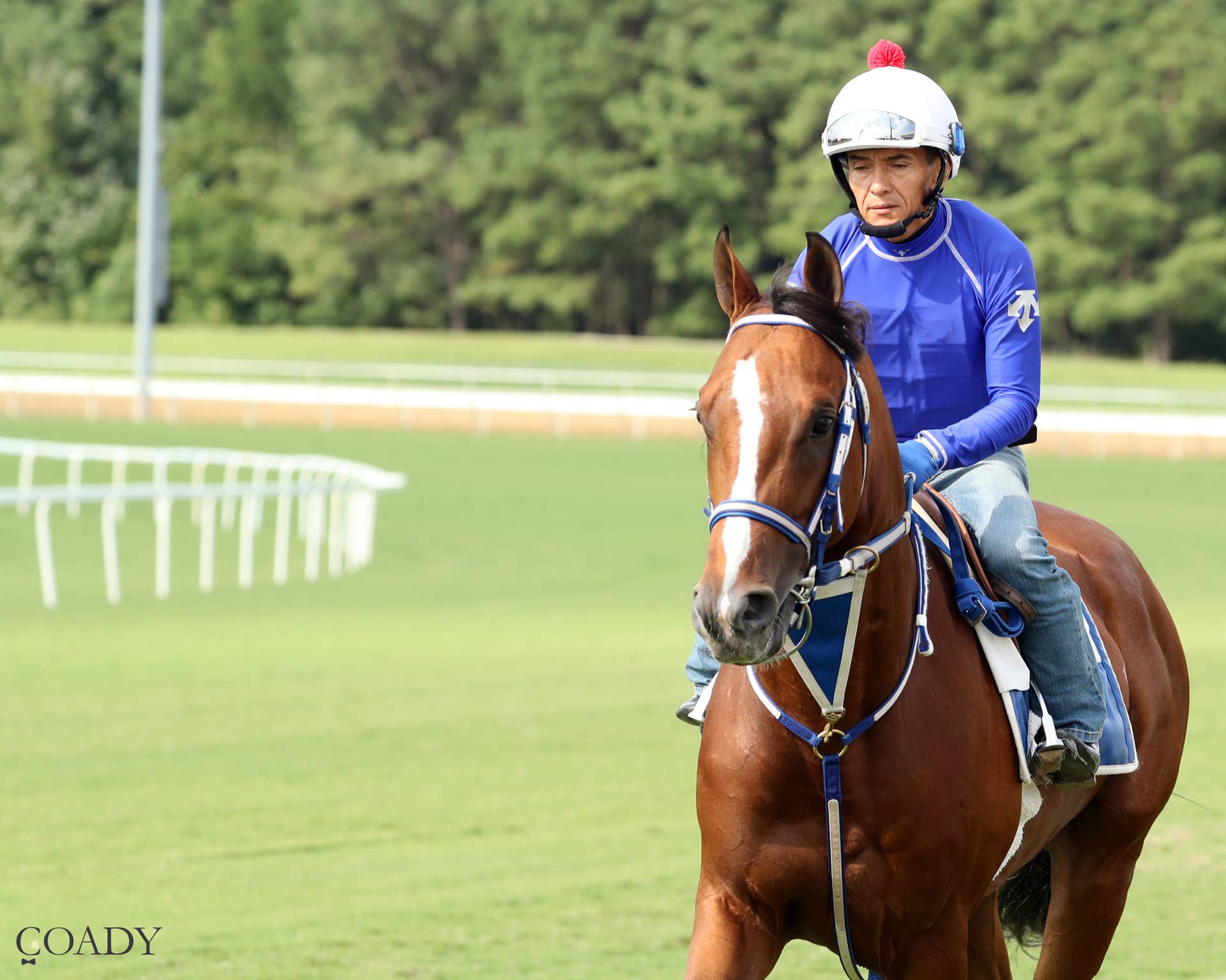 'Mystik Dan Can Still Show Up': Kentucky Derby Winner Tries Turf In ...